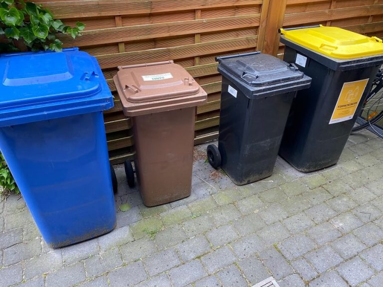 Things to Consider While Buying Gold Coast Bins