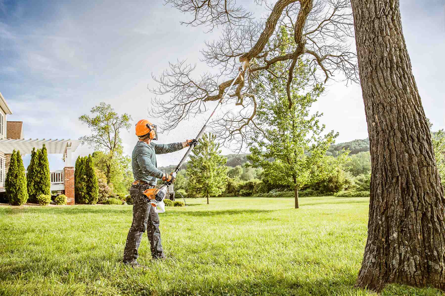 Signs That It’s Time To Get Your Trees Trimmed