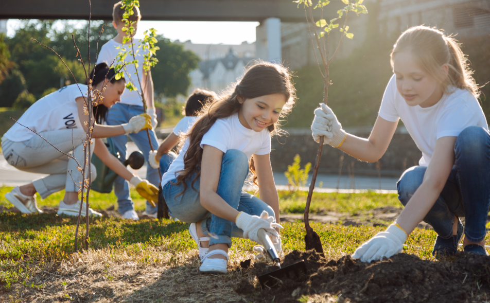 Improve Your Cityscapes by Planting Trees in Gold Coast